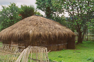 La Historia al dia.: VIVIENDAS MAPUCHES